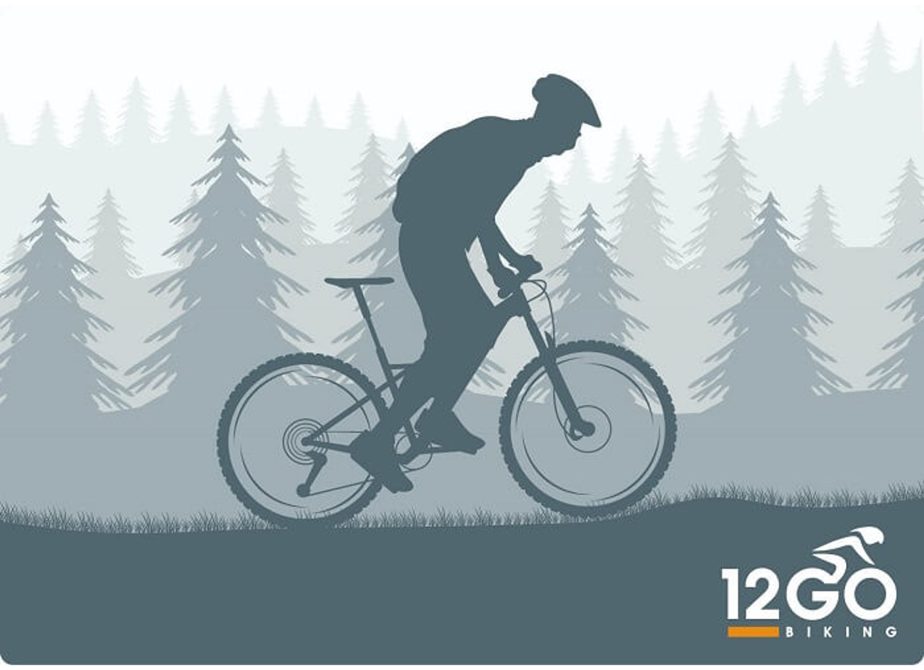Batavus X-Posure 3V 2017 | 12GO Biking